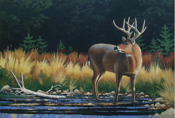 Nature Paintings by Jonathan Shaw at Adkins - Talbot Spy