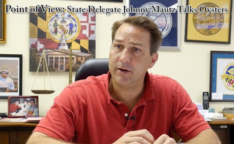 Point of View: State Delegate Johnny Mautz Talks Oysters - Talbot Spy