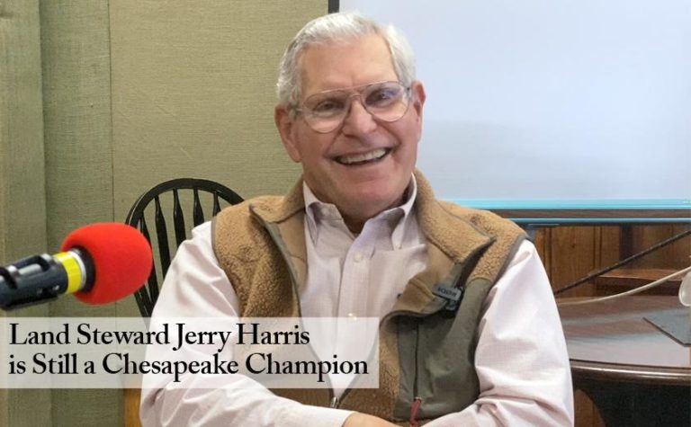 Land Steward Jerry Harris is Still a Chesapeake Champion - Talbot Spy