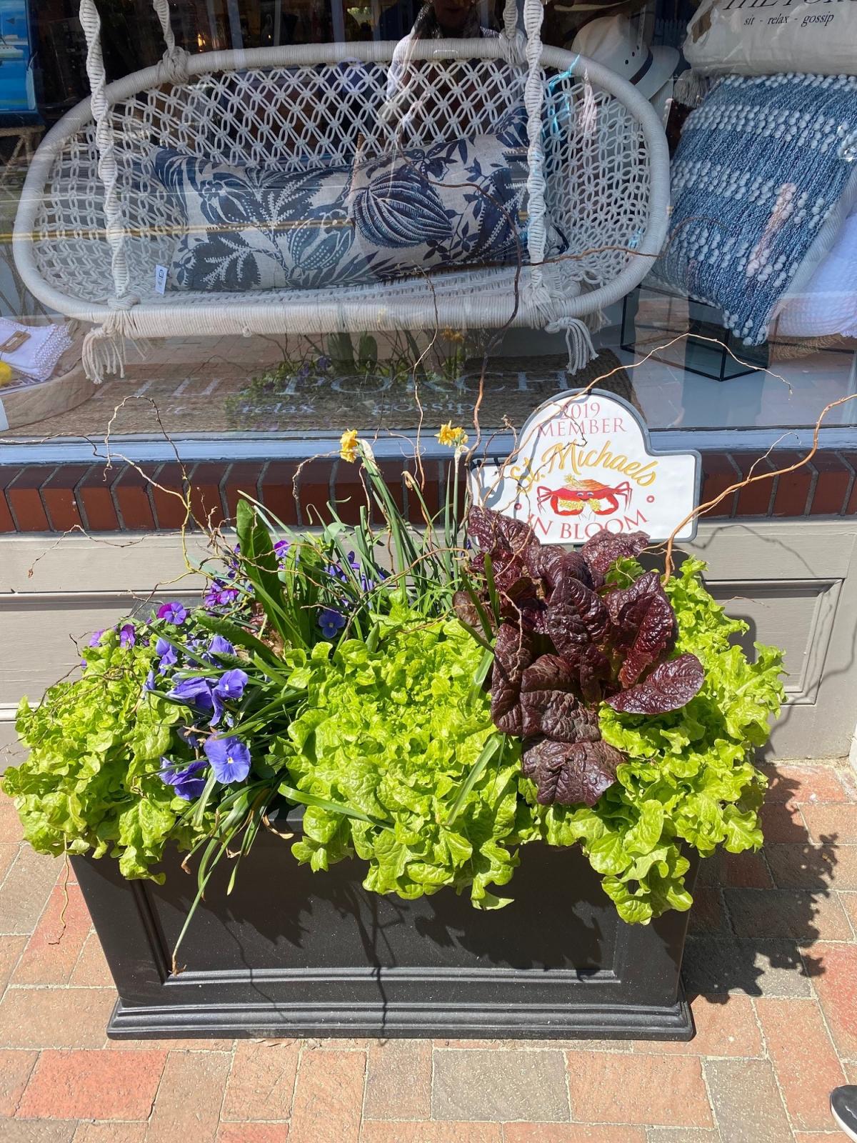 St Michaels in Bloom Brings New Beautification Efforts to St. Michaels ...