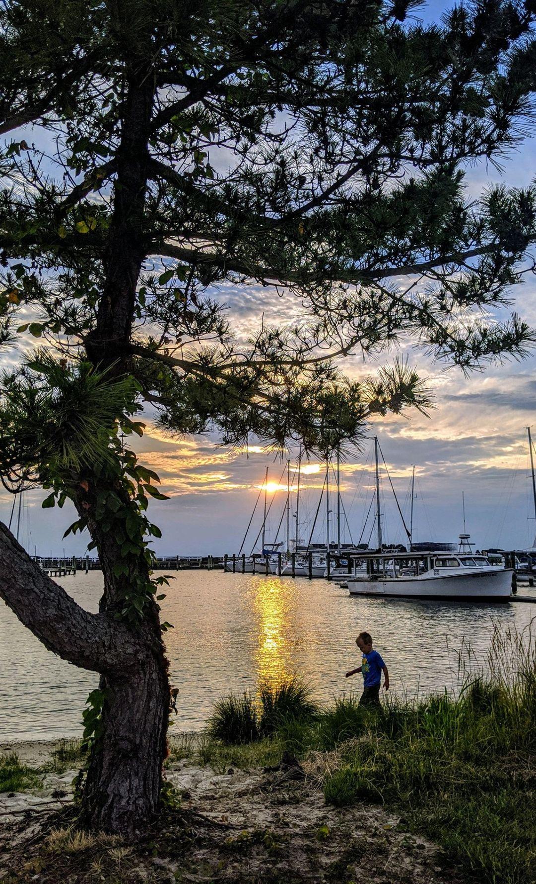 Chesapeake Lens: One Summer Evening by JP Henry - Talbot Spy