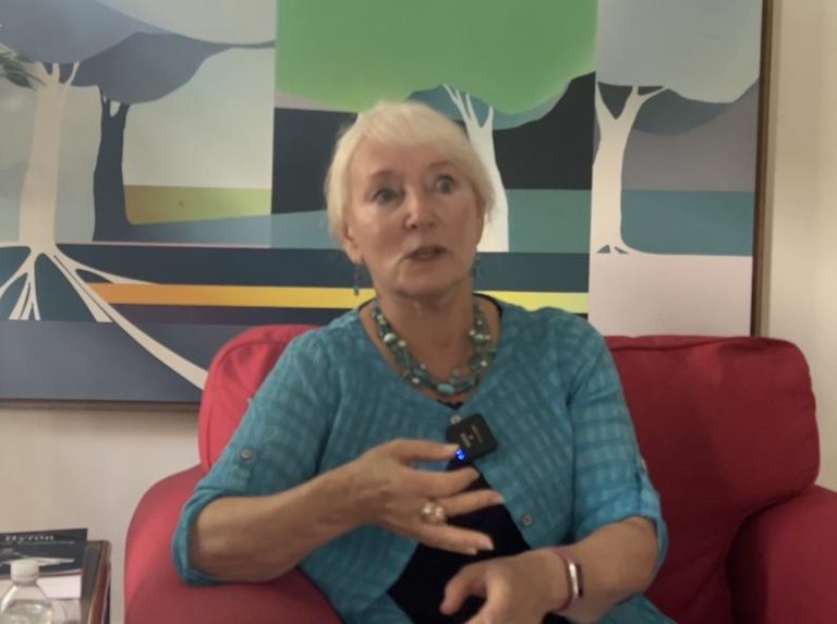 Election 2022 Profiles: Susan Delean-Botkin for House of Delegates (37 ...