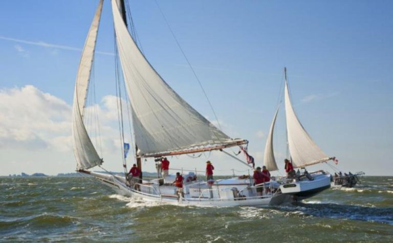 Choptank Heritage Skipjack Race - Talbot Spy