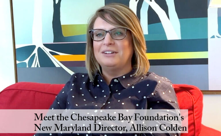 Meet the Chesapeake Bay Foundation's New Maryland Director Allison ...