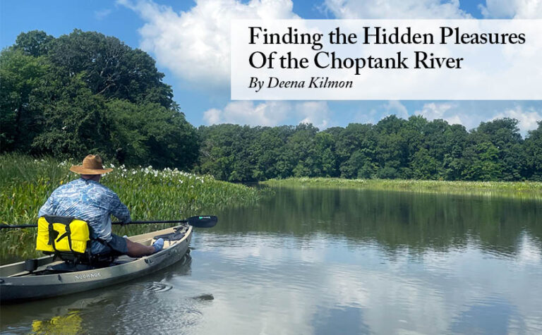 Finding the Hidden Pleasures of the Choptank River by Deena Kilmon ...