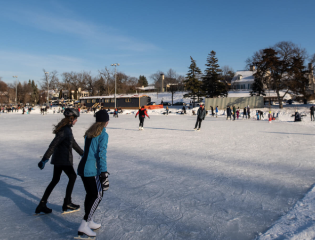 Delmarva Review: 14 Inches of Snow by Madeleine Cohen Oakley - Talbot Spy