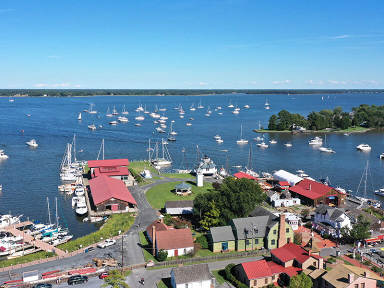 Important Dates Set for 2026 St. Michaels Commissioner Election ...