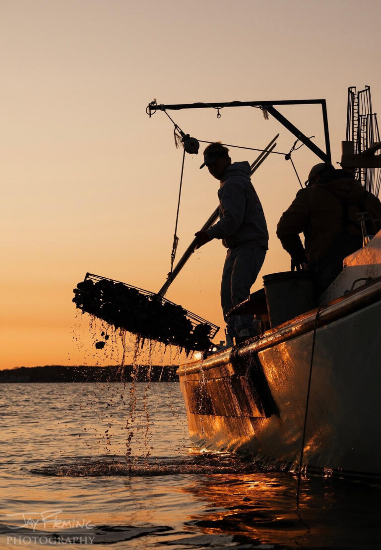 Chesapeake Lens: “Hand Tonging” by Jay Fleming - Talbot Spy
