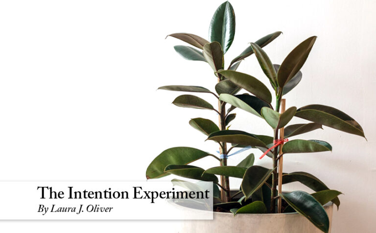 The Intention Experiment by Laura J. Oliver - Talbot Spy
