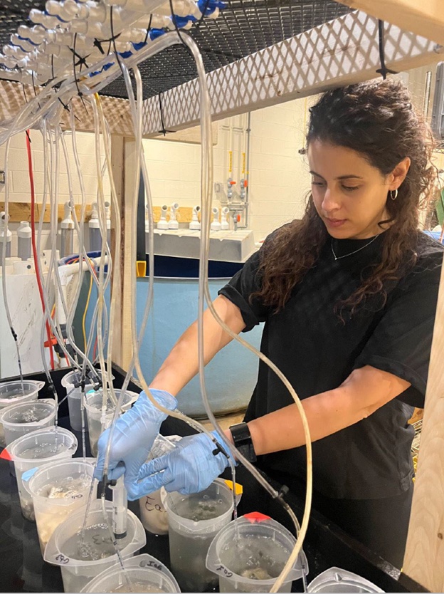 Science on the Shore: Evaluating oyster substrates by Angela Rieck ...