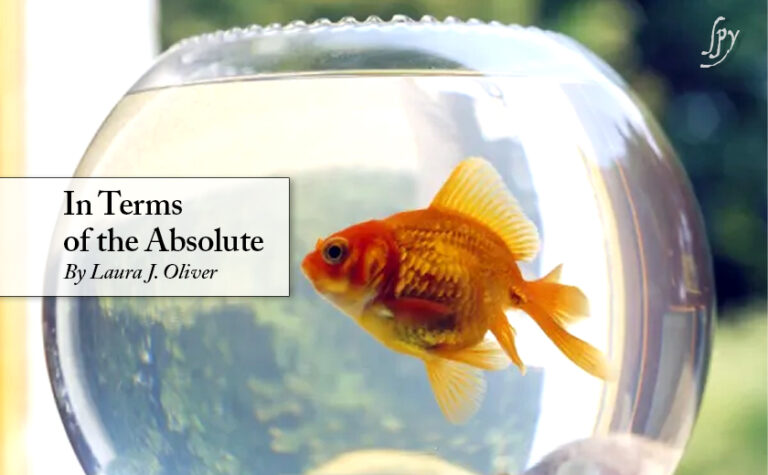 In terms of the absolute By Laura J. Oliver - Talbot Spy