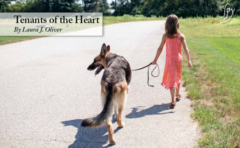 Tenants of the Heart By Laura J. Oliver - Talbot Spy