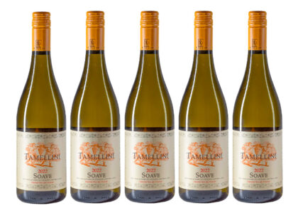 Wine of the Week: Tamellini Soave DOC - Talbot Spy