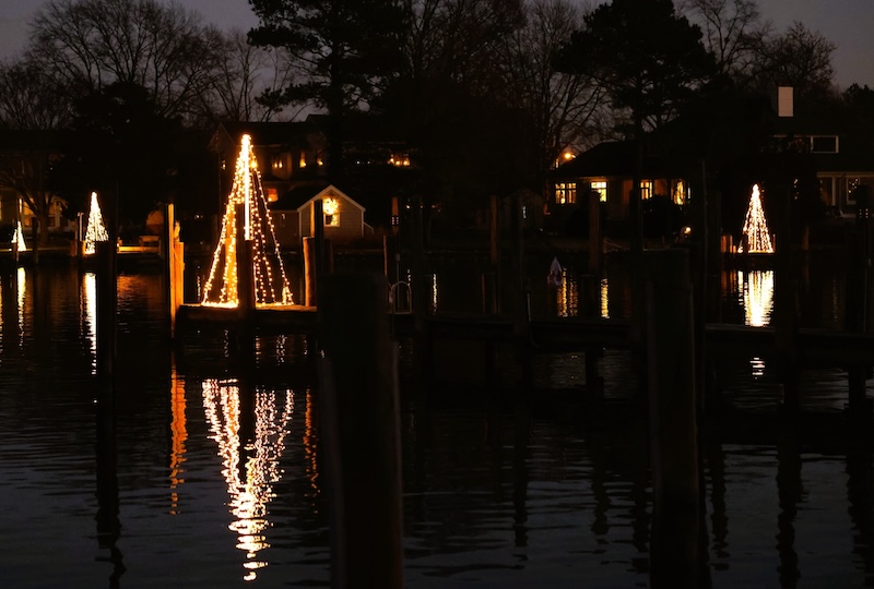 80-Plus Trees to Shine Along Oxford’s Docks this December - Talbot Spy