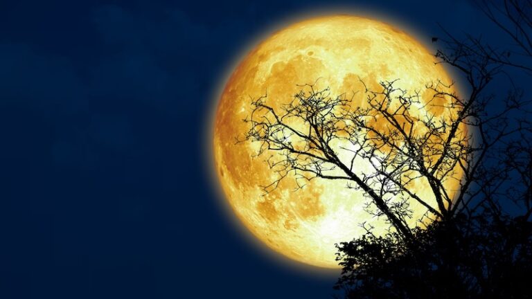 Under the Beaver Moon By Katherine Emery General - Talbot Spy